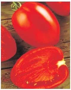 Amazon.com : Giant Valentine Tomato 10 Seeds - Heart-Shaped ...