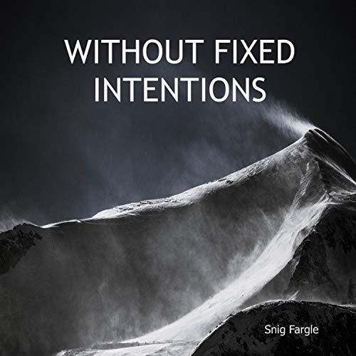 Amazon.com: Without Fixed Intentions : Snig Fargle: Digital Music