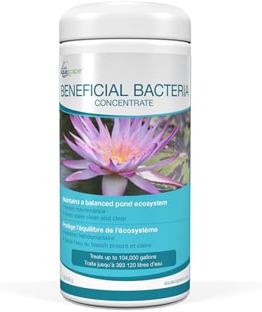 Amazon.com : API POND-ZYME SLUDGE DESTROYER Pond Cleaner With Natural ...