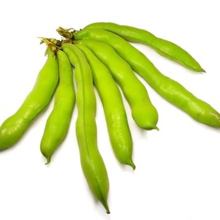Raunak Seeds Omaxe Fava Beans Selection Bakla Variety (Avg 30-50 Seeds ...