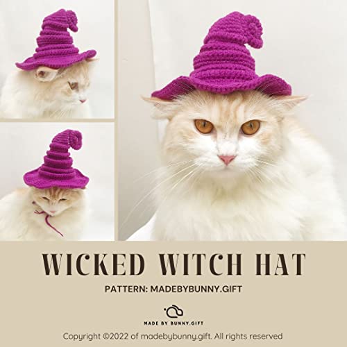Amazon.com: Crochet WICKED WITCH HAT Crochet Amigurumi Patterns For ...