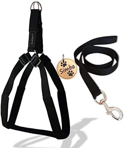 Kraftidy Dog Harness and Leash with Name tag id Customized for Dogs ...