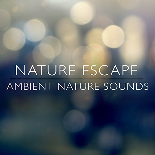 Play Nature Escape: Ambient Nature Sounds by Nature Sound Collection ...