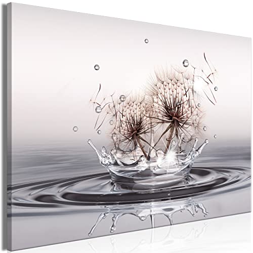 Bilder Von Pusteblumen – Die 15 besten Produkte im Vergleich - BetterFamily