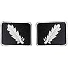 Amazon.com: DealzCT Standartenfuhrer Colonel Collar tabs 2 Small Set ...