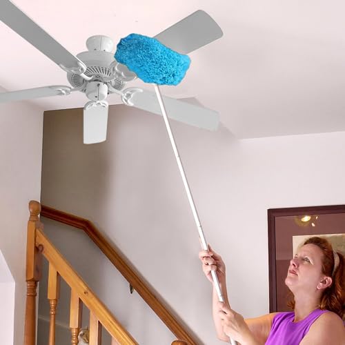 Best Stomp Brush for Ceiling Cleaning and Texture Applications – Alpine ...