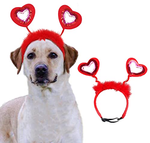 Valentine's Day Dog Costumes & Clothes for your little cupid!