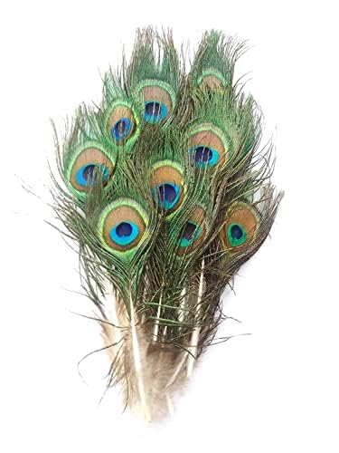 Templeshop - Peacock Feathers Eyes with Stem (Various Sizes & Quantity ...