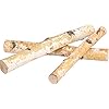 Amazon.com: Kingcraft 6 Pack Small Birch Logs for Fireplace Unfinished ...