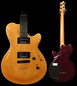 Amazon.com: Godin Summit CT with High Definition Revoicer, Natural ...