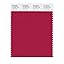 PANTONE Smart 19-2030X Color Swatch Card, Beet Red - House Paint ...