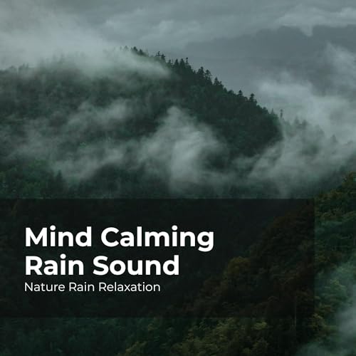 Play Mind Calming Rain Sound by Nature Rain Relaxation, Rain Recorders ...
