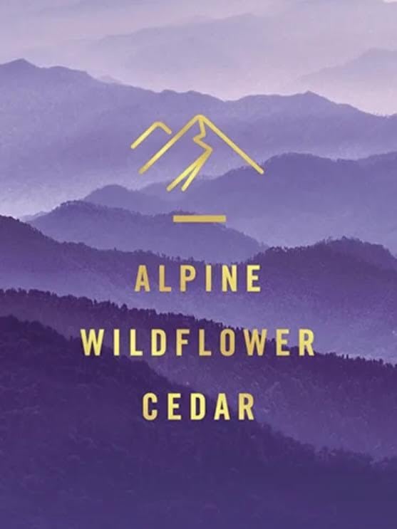 Snapklik.com : Febreze Small Spaces, Mountain Scent