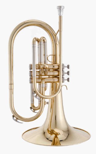 Bb Mellophone – The 16 best products compared - www.djgblogger.com