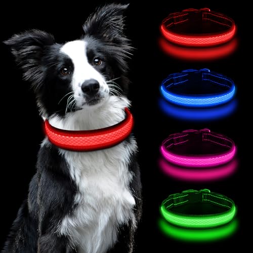 AUAUY Light Up Dog Collar, LED Dog Collar Light USB Rechargeable ...