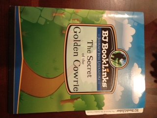 BJ Book Links The Secret of the Golden Cowrie Guide & Reproducibles ...