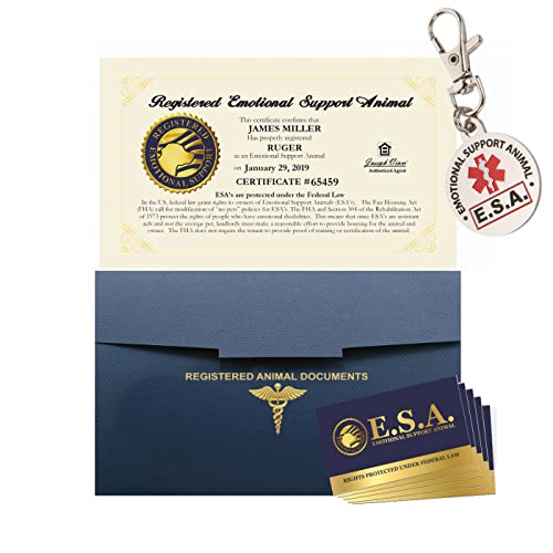 10 Must-Have Products for Your Registered Emotional Support Animal: A ...