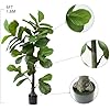 Amazon.com: LUWENER 6ft Artificial Plant Fiddle Leaf Fig Tree,Faux Ficus Lyrata in Pot,Ficus ...