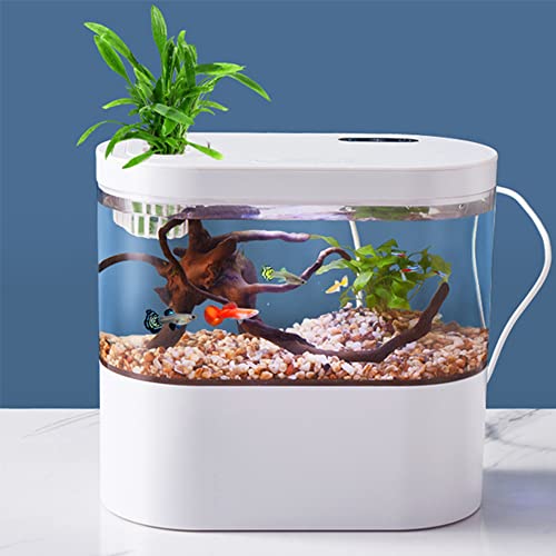 Top 3 Betta Fish Starter Kit You Can Buy - Animals Log