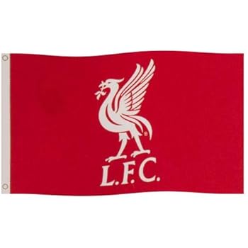 Giant Official Liverpool FC (2019 Premier League) Crest Flag (100% ...