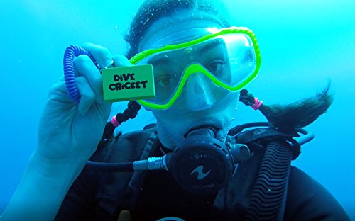 The 28 Best Diving Communication Devices of 2024 [Verified] - Cherry Picks