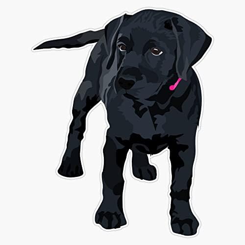 Amazon.com - EMC Graphics Black Lab Puppy Sticker, 5" x 5", Vinyl ...