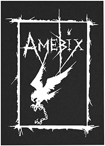 Amazon.com: Amebix Back Patch - Antisect Discharge Axegrinder Deviated ...