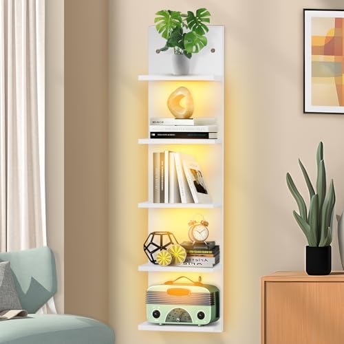 Amazon.com: BEARUT 5 Tier Display Shelf Case with Light LED Wall Mount ...