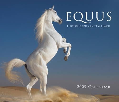 Equus 2009 Wall Calendar: Flach, Tim: 9780810979871: Books - Amazon.ca