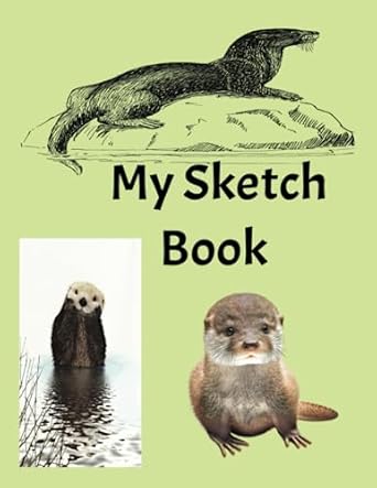 Amazon.com: Otter Sketch Book: Murphree: Books