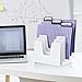Acrimet Incline Desk File Sorter Step 5 Sections Heavy Duty (White ...
