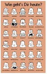 Amazon.com: Picture Peddler How are You Feeling Today? Borgman (German ...