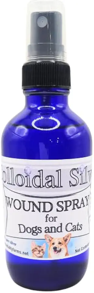 The Complete Guide: Using Colloidal Silver For Cats | PetShun