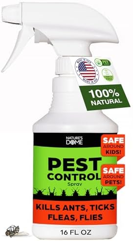 Amazon.com: Raid Essentials Multi-Insect Killer Spray Bottle, Child and ...
