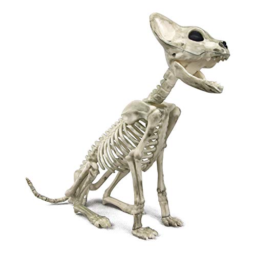 Amazon.com: Supremask Skeleton Cat, Plastic Crouching and Sitting Cat ...
