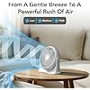 Amazon.com: Comfort Zone 11-Inch High-Velocity Tabletop Air Circulator ...