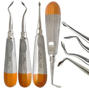 Amazon.com: Bernard Dental Root Elevator Pick, #60, #60L, #60R. #63 | Straight & Angled Spade ...