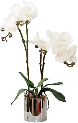 Amazon.com: CXGS Artificial Orchid Flower Plant Real Touch Faux Orchids ...