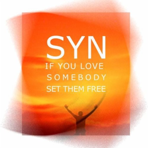 Play If You Love Somebody Set Them Free by Syn on Amazon Music