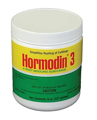 Hormodin #3 Rooting Hormone (0.8% IBA) - 0.5 pound jar : Amazon.in ...