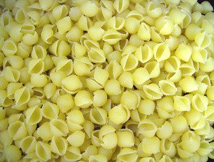 Amazon.com: 1 Can of Future Essentials Canned Small Shell Pasta Noodles ...