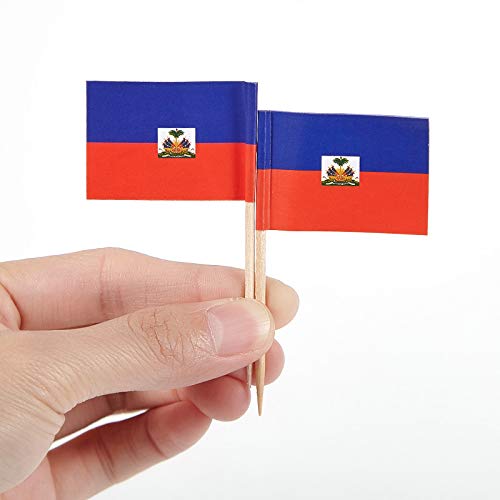 Snapklik.com : CYPS 100 Pcs Haiti Flag Haitian Toothpick Flags, Small ...