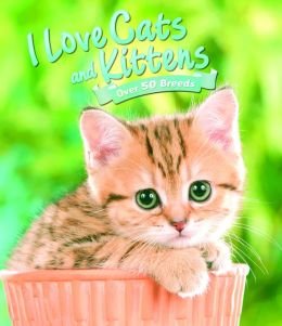 I Love Cats & Kittens (Over 50 Breeds): QED: 9781435155336: Amazon.com ...