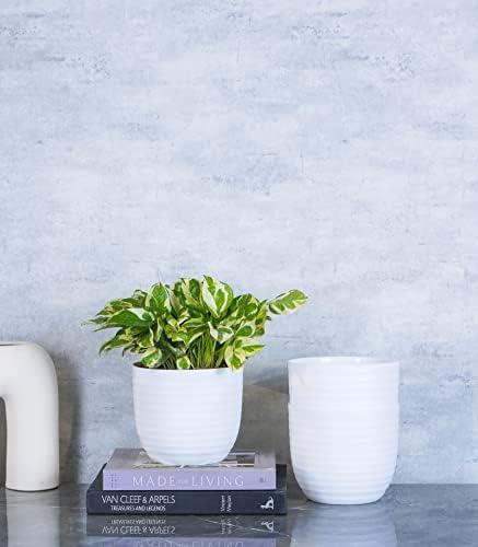 Nurturing Green® Combo of 3 Plastic Planter 'Wave' Pots (6.7 Inch Wide ...