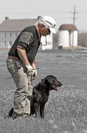 Amazon.com: Pat Nolan: books, biography, latest update