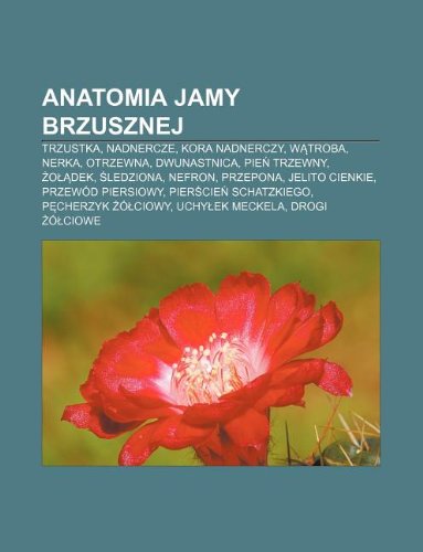 Anatomia jamy brzusznej: Trzustka, Nadnercze, Kora nadnerczy, Wątroba ...
