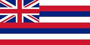 Amazon.com: LPF USA State Flag of Hawaii Sticker (Hawaiian car Decal ...