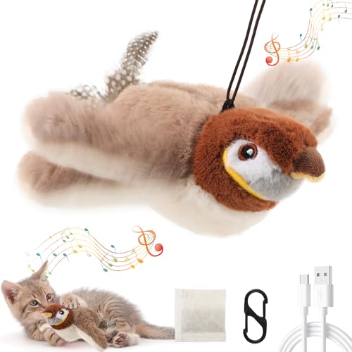 Flying Bird Cat Toy – The 15 best products compared - Wild Explained