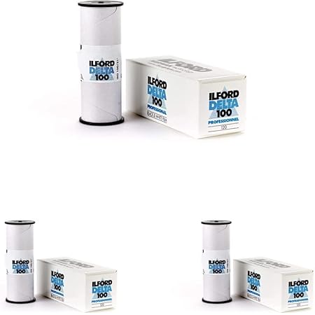 Amazon.com : Ilford Delta 100 120 Pack of 10 : Photographic Film ...