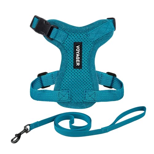 Escape Proof Cat Harness – The 15 best products compared - Wild Explained